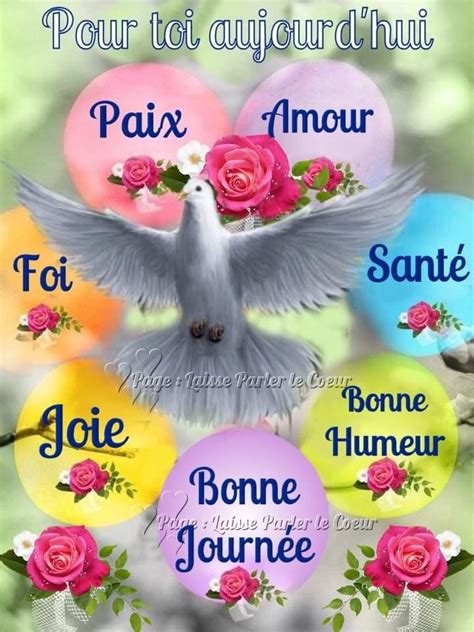 Citations Humour Bon Dimanche