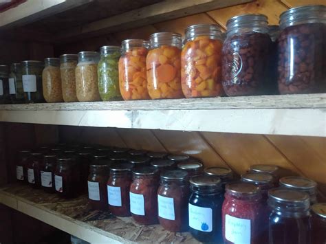 How A Pressure Canner Can Save You A Lot Of Money