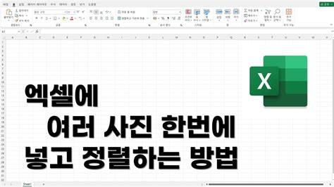 엑셀에 여러 사진을 한번에 넣고 한방에 정렬하는 방법 엑셀 꿀팁 Youtube