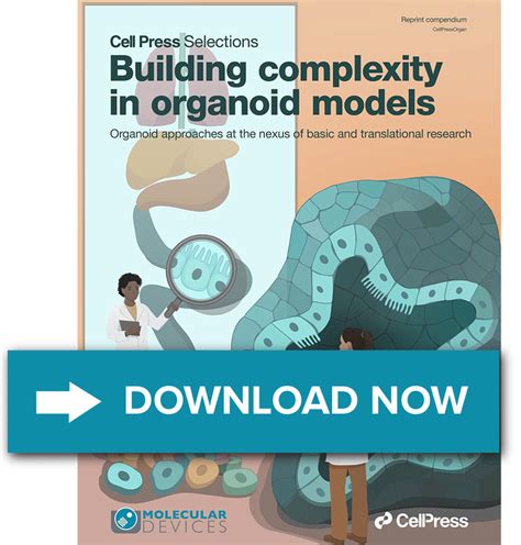 Building Complexity In Organoid Models Molecular Devices