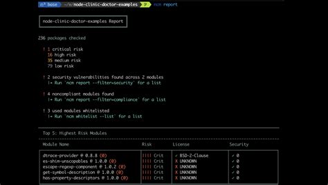 Unleashing The Power Of NCM Safeguarding Node Js Applications With Next Generation Security In