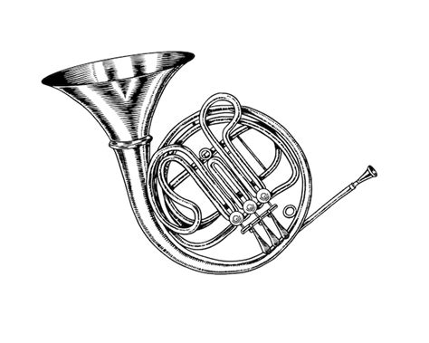 French Horn Sketch