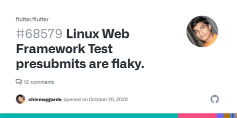 Linux Web Framework Test Presubmits Are Flaky · Issue 68579 · Flutterflutter · Github