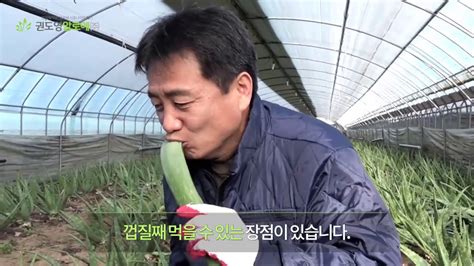 알로에 품종에 대해 알아보아요 베라 아보레센스 사포나리아 Youtube