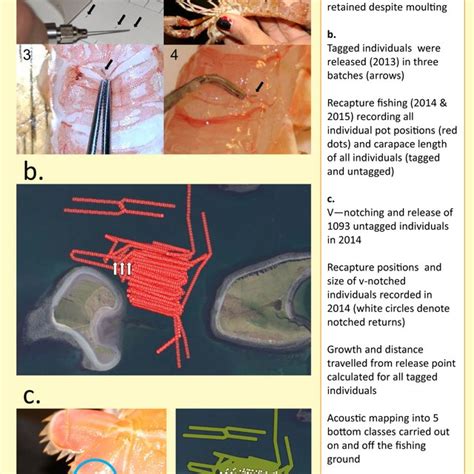 Experimental Workflow Used To Generate And Analyse The Data Descriptor Download Scientific