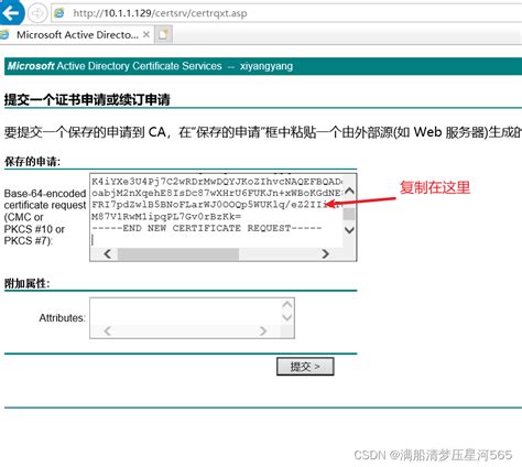 Ca服务器的搭建及web证书申请ca服务器搭建 Csdn博客