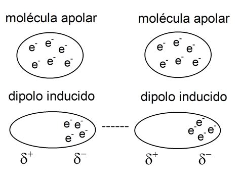 Moléculas Clasificación Tipos Características Y Ejemplos
