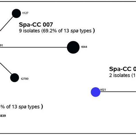based upon repeat analysis burp analysis with a cost of 4 showing the