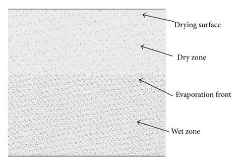 Drying Curves Comparison Of Experiment And Simulation Download Scientific Diagram
