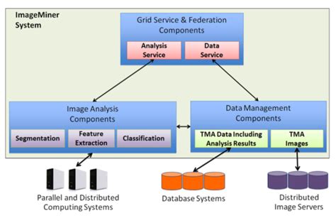 image mining for analysis of expression patterns in tissue microarray