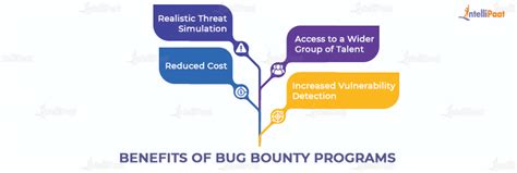 What Is Bug Bounty Program Hacking News Cyber Security Awareness