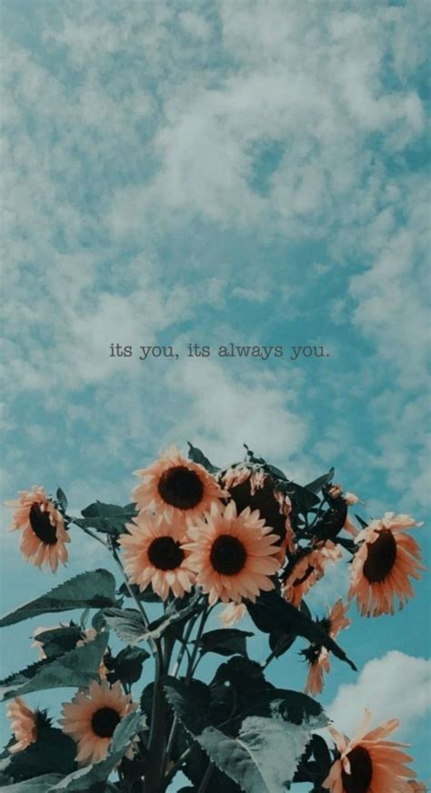Viele Schöne Sonnenblumen Blauer Himmel Und Weiße Wolken Hintergrundbild Mit Spruch Aesthetic