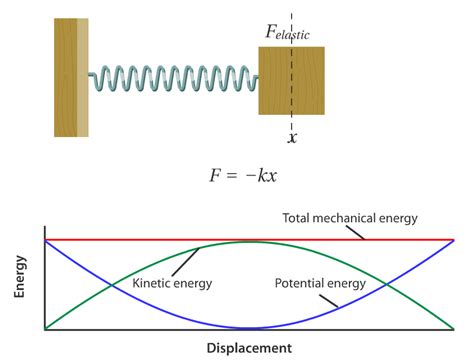 Simple Harmonic Motion Graphs 8th Grade Quiz Wayground