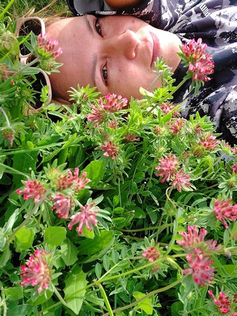 Obiteljske Konstelacije Nataša Žuvela Alaya Konstelacije Zagreb