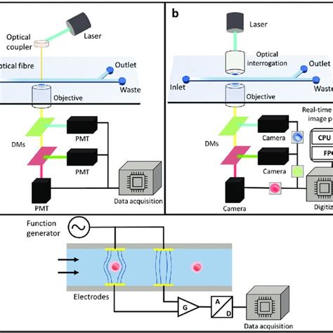 Schematic Of Sample Detecting System Setups In Microfluidic Flow Download Scientific Diagram