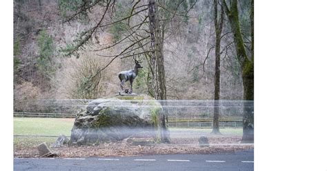 Bertrand Stofleth Documents Dartistes Auvergne Rhône Alpes