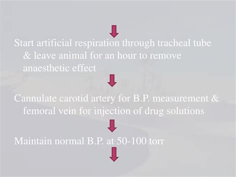 Ppt Bioassay Of Vasopressin Powerpoint Presentation Free Download