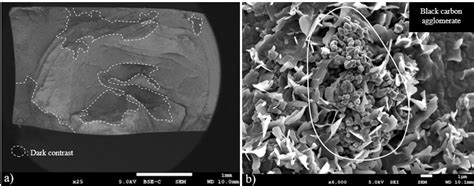 Characterization And Understanding Of Mechanical Variability Of Elastomer Application In