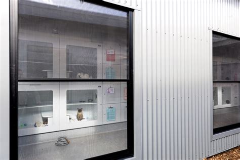 Rspca Cat And Small Animal Centre Stages 1 And 2 Architecture Matters