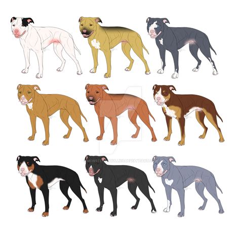 Apbt Imports Open By Monsterambullies On Deviantart