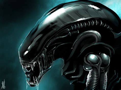 An Alien Is Staring At The Camera