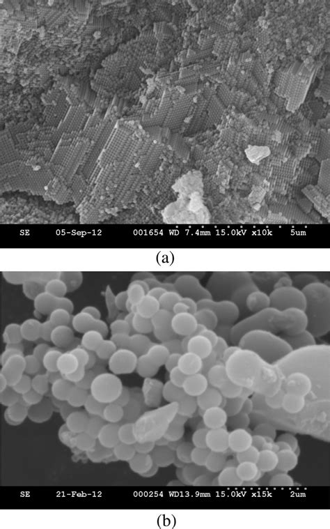 Sem Images A Polystyrene Ps Sphere B Carbon Sphere Cs