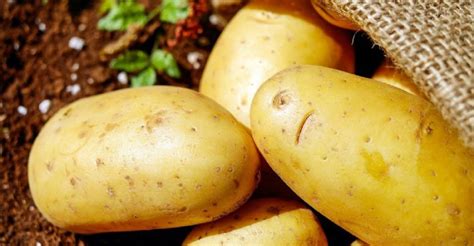 Por qué es bueno tomar jugo de papa Checa sus beneficios para tu alimentación Gastrolab