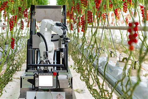 Een Duurzamere Toekomst Met Artemy® · Certhon
