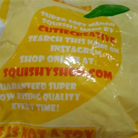Mango Squishy Everything Else On Carousell