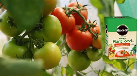 Organic All Purpose Fertilizer Mix 4 6 2 Best Fertilizer For Tomatoes