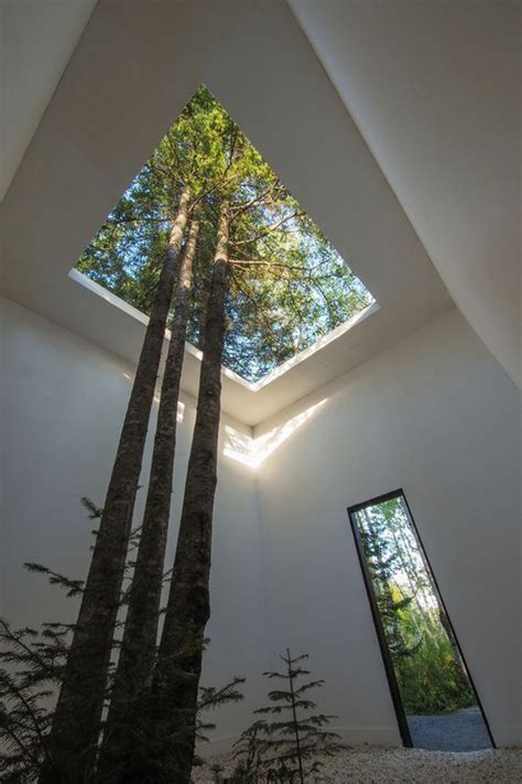 Save The Tree Unique Houses With Trees Inside House Design And Decor