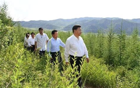 连续10年参加首都义务植树 习近平引领建设绿色家园四川在线