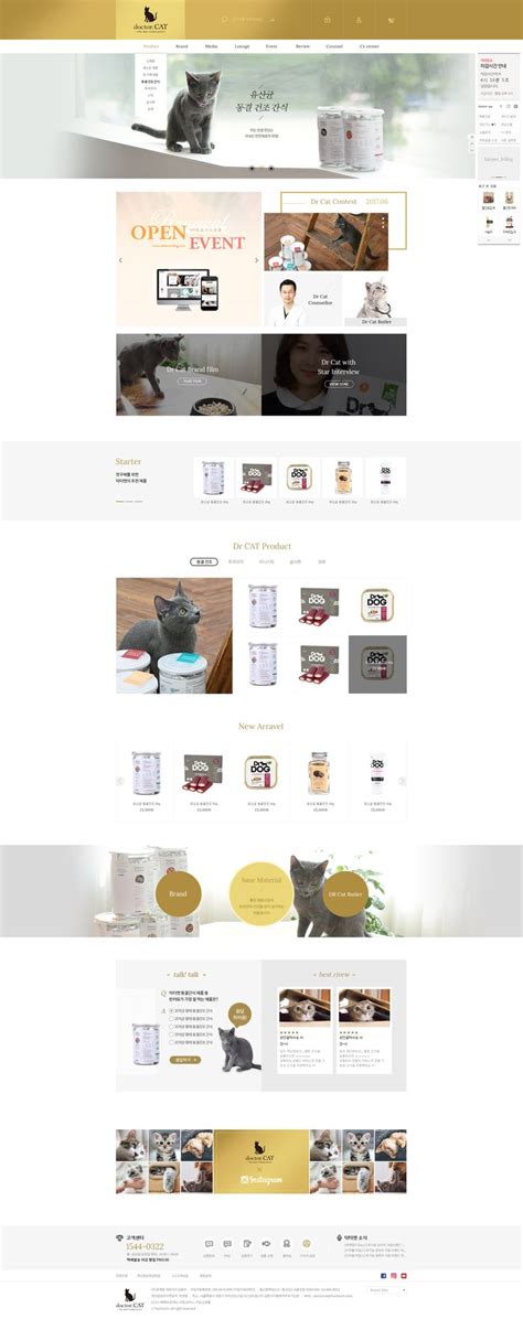 웹사이트 레이아웃 레이아웃 웹디자인 레이아웃 디자인