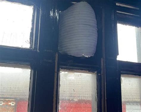 The Spellow Pad Reviews Photos