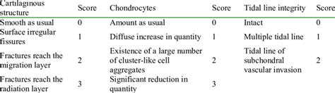 Mankin Scoring Standards For Articular Cartilage Download Scientific Diagram