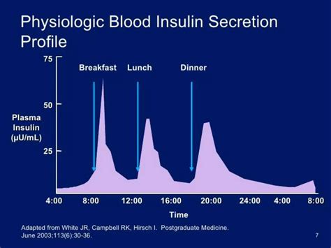 Insulin Therapy Pptx