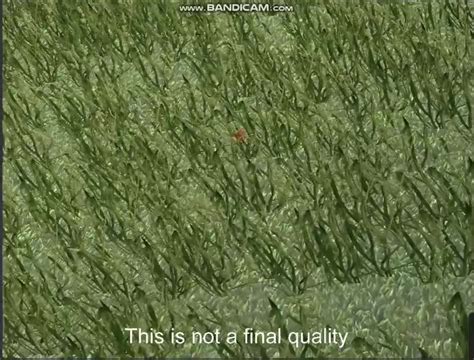 🎯 First Map Of The Game In Gamedev 🎯 Tushar Jain Posted On The Topic