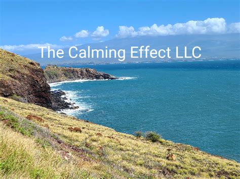 Book A Massage With The Calming Effect Largo Fl 33770