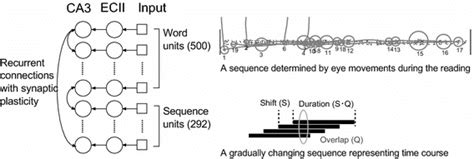A Network Model Of The Hippocampus Based On Theta Phase Coding 9 10