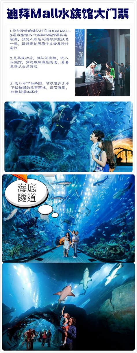 阿联酋迪拜水族馆门票 迪拜mall水族馆 探寻海底世界 马蜂窝自由行 马蜂窝自由行
