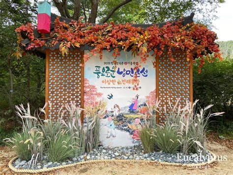 한국민속촌 가을포토존 유칼립투스 디자인
