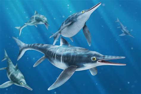 Ichthyosaurus Facts And Pictures