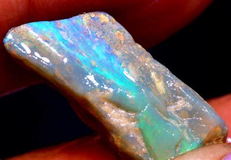 4 45 Cts Opalised Fossil Wood Fo 2268 Fossil Opals