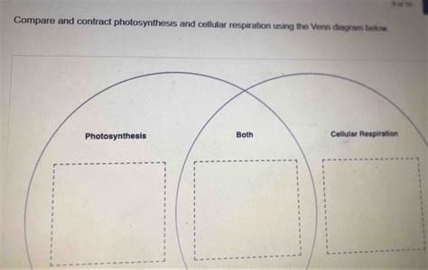 Compare And Contract Photosynthesis And Cellular Respiration Using The