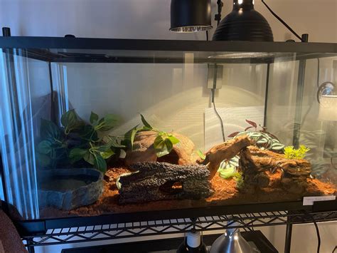 rate my enclosure r ballpython