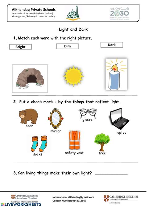 Al Khandaq Light And Dark Interactive Worksheet Light In The Dark 2nd Grade Worksheets