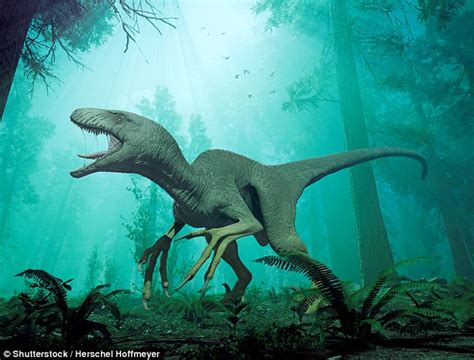 Corpse Resembling A Dinosaur Found In India Daily Mail Online