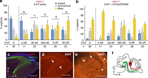 Dose Response Analyses Of 5 Hydroxytryptamine 5 Ht And 5 Htrs Cit