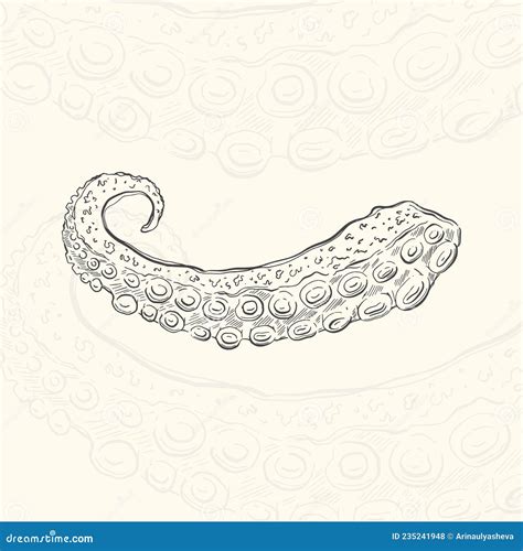 Octopus Sketch Aristocrat Cylinder Monocle Vector Illustration
