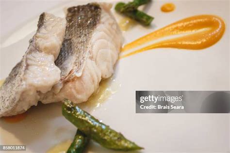 White Hake Photos And Premium High Res Pictures Getty Images